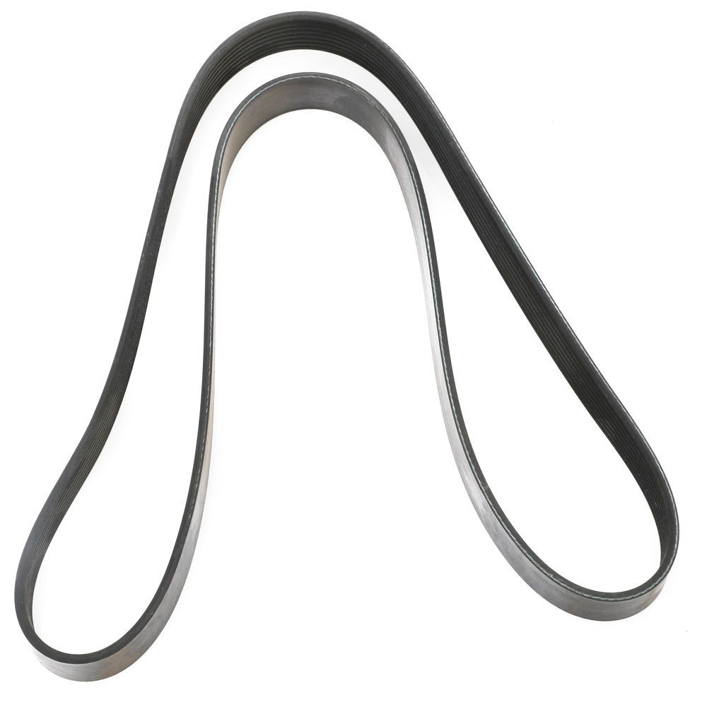 MPParts | Cummins 3034944 Professional V-Ribbed Serpentine Belt | 3034944