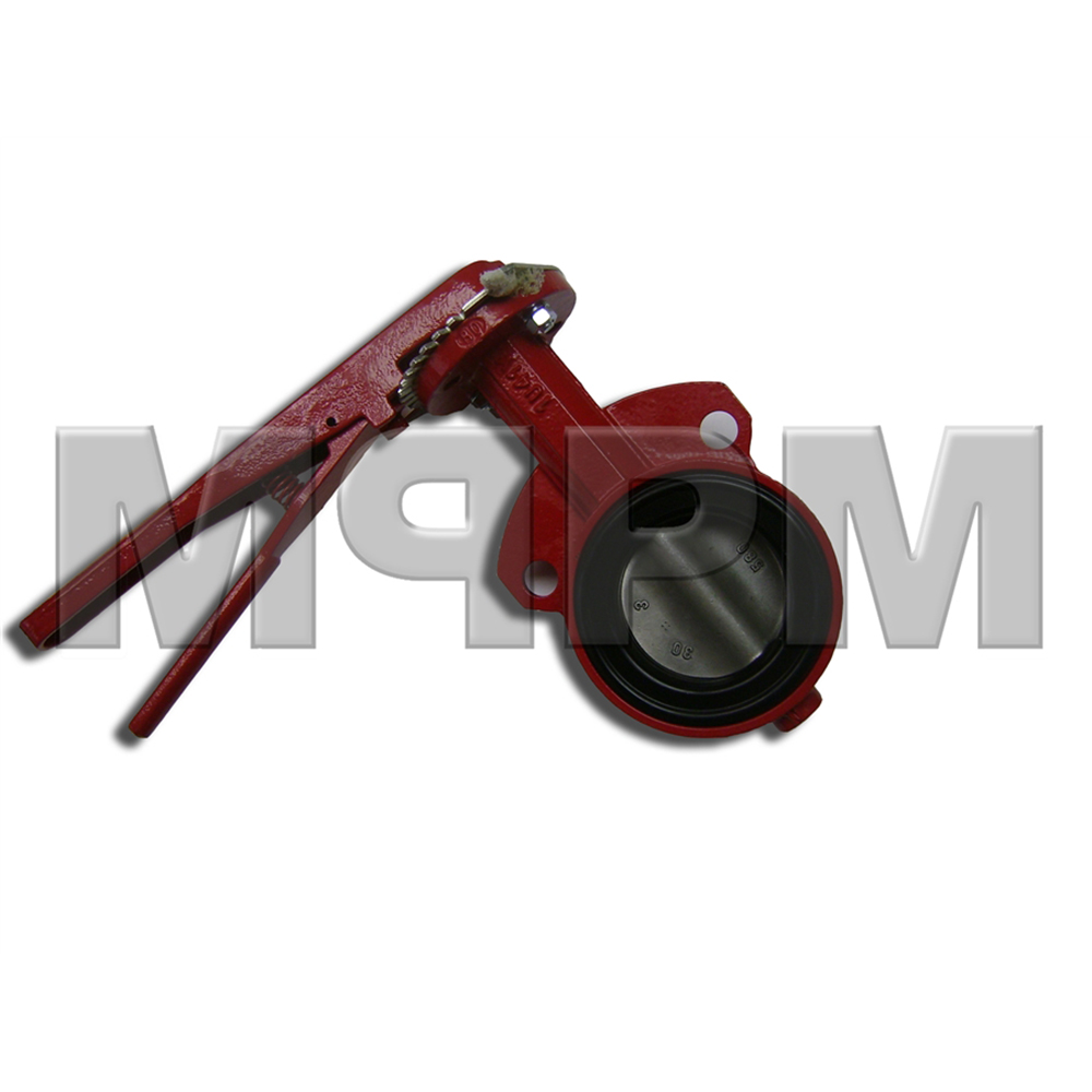 MPParts | 3 Inch Bray Butterfly Valve with Stainless Steel Disc | BRAY3SSD