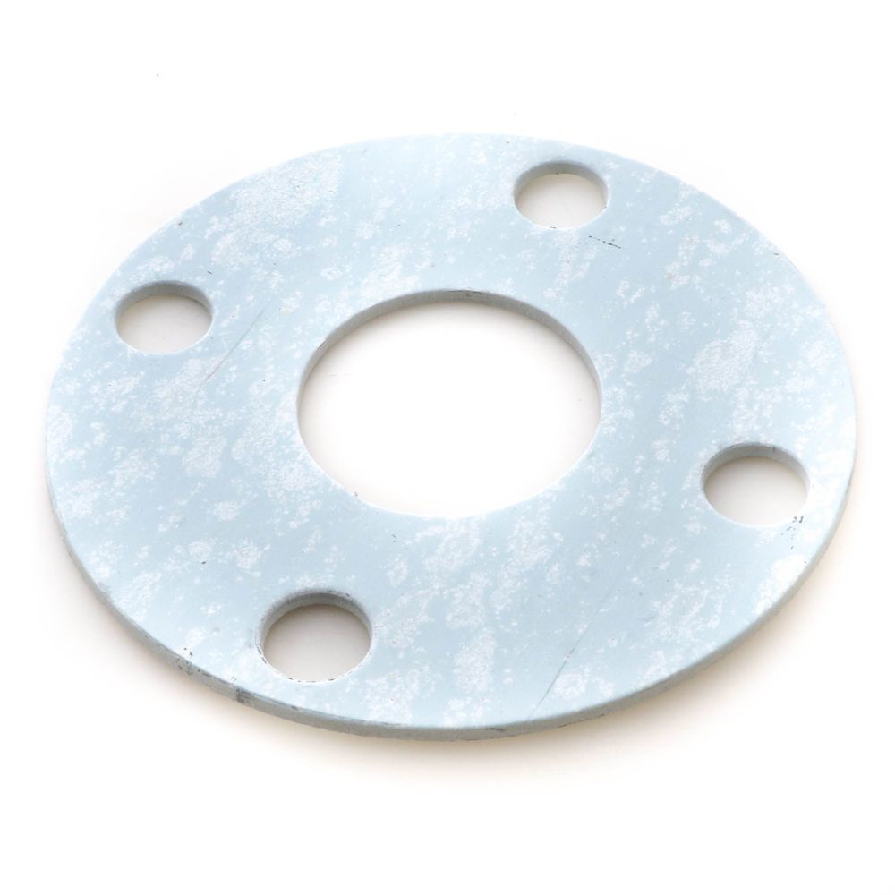MPParts | Neptune 42948-007 2in Type S Flange Gasket | 42948007