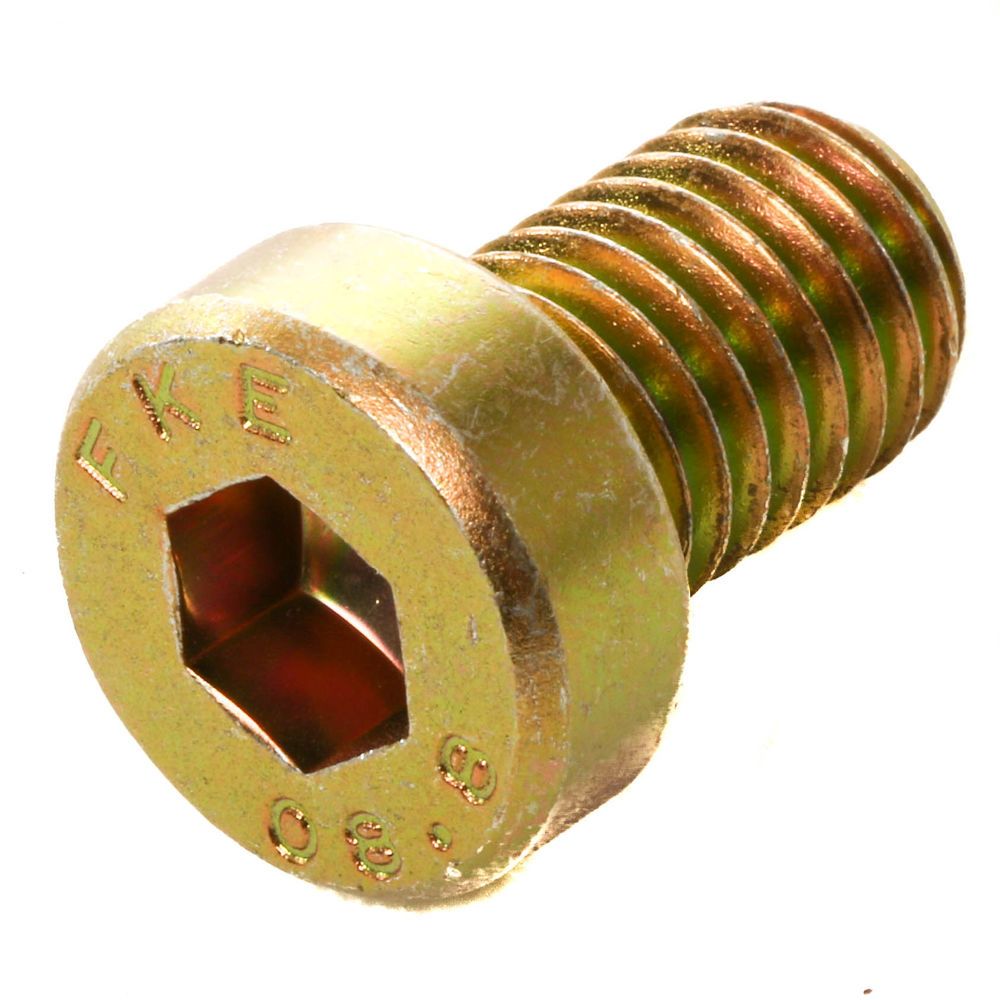 MPParts | Schwing 10011969 Screw DIN 7984 M10x16-8.8-A2C | 10011969